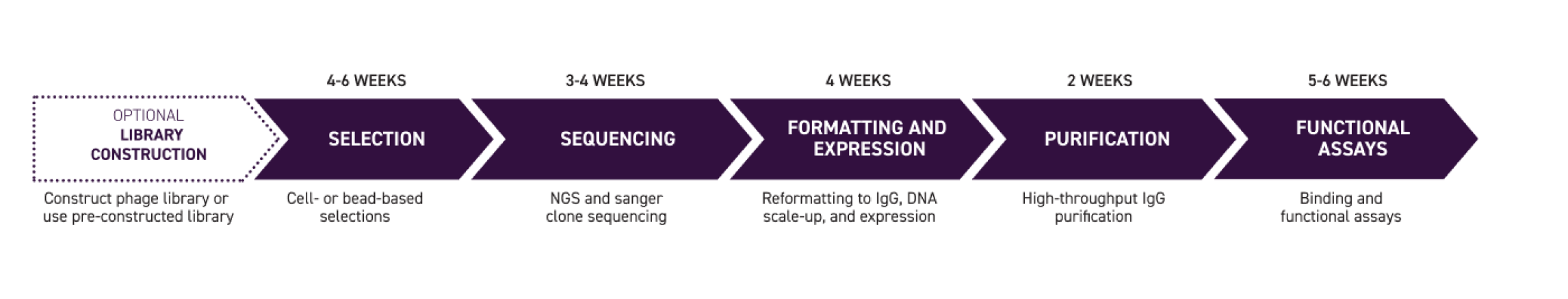 Single Domain (VHH) Antibody Discovery | Twist Bioscience